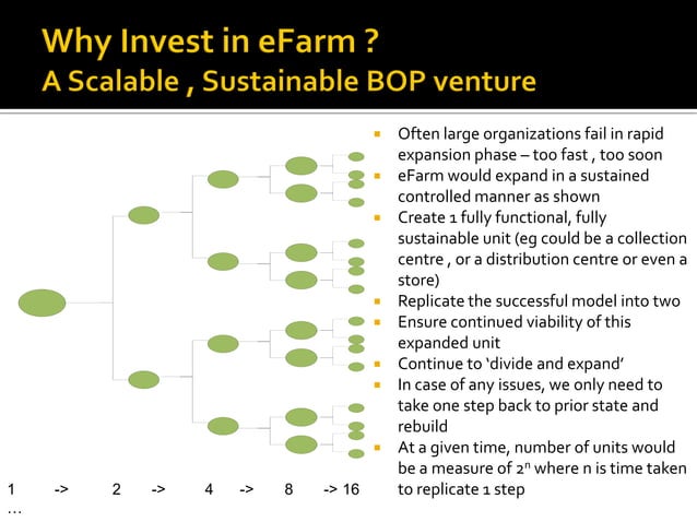 Financial Plan Draft | PPT