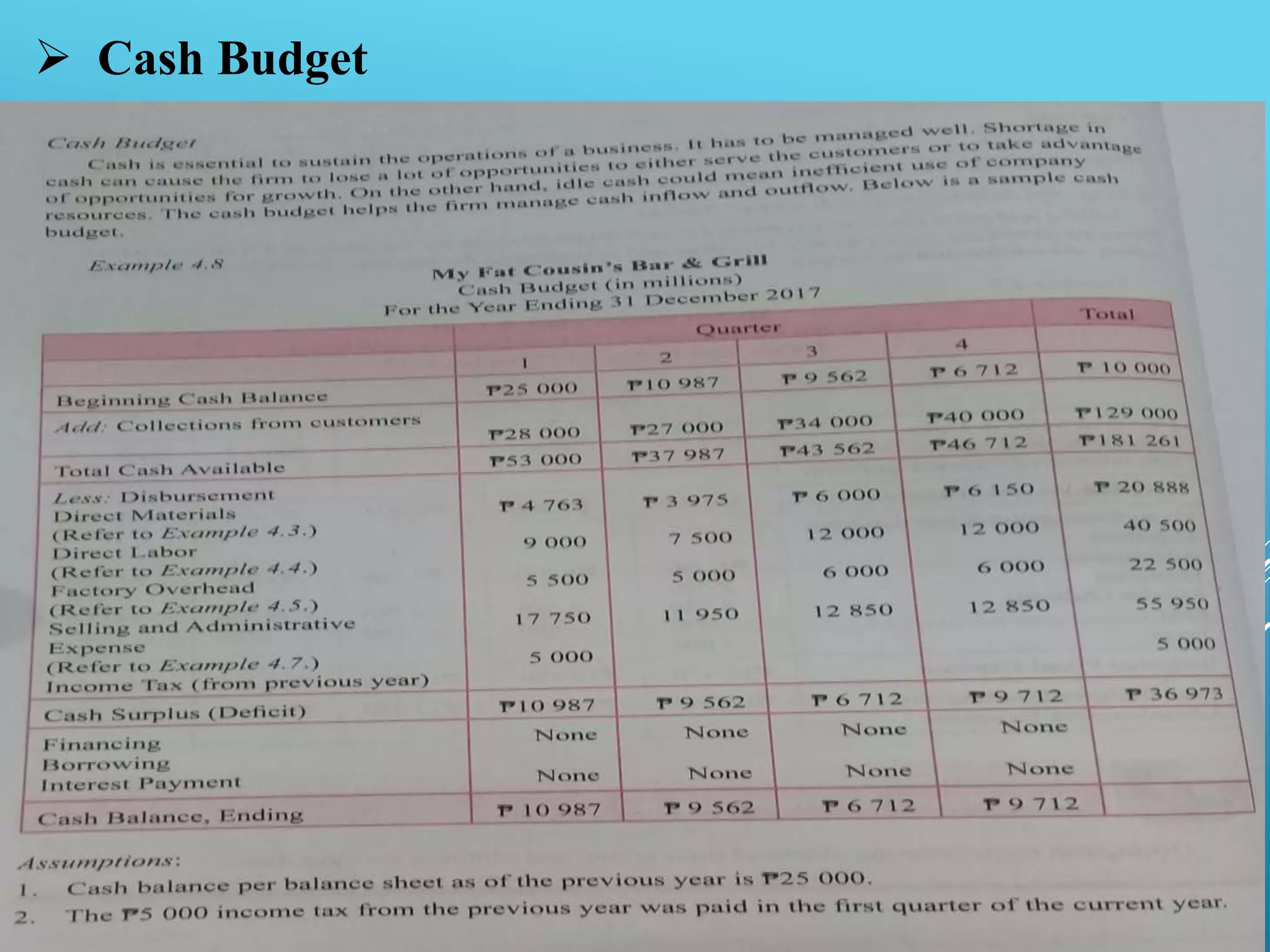 Financial projections and budgets | PPTX