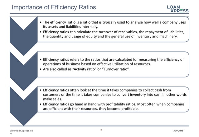 Financial Ratios - Introduction to Efficiency Ratios | PPTX