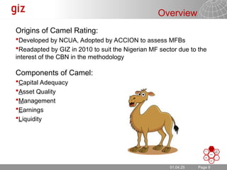 Financial Ratios and CAMEL Presentation.ppt
