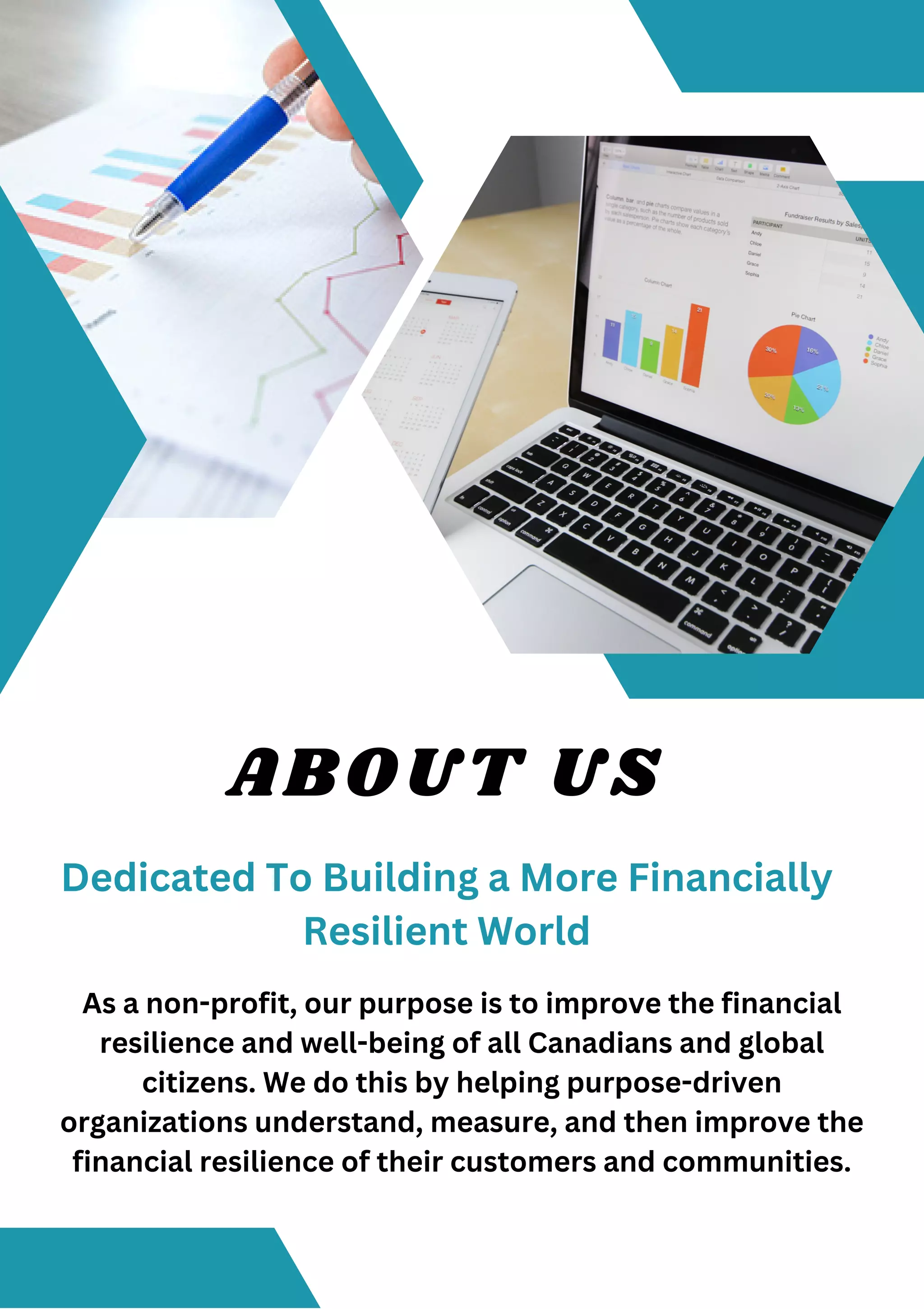 Customized Financial Resilience – Financial Resilience Institute | PDF