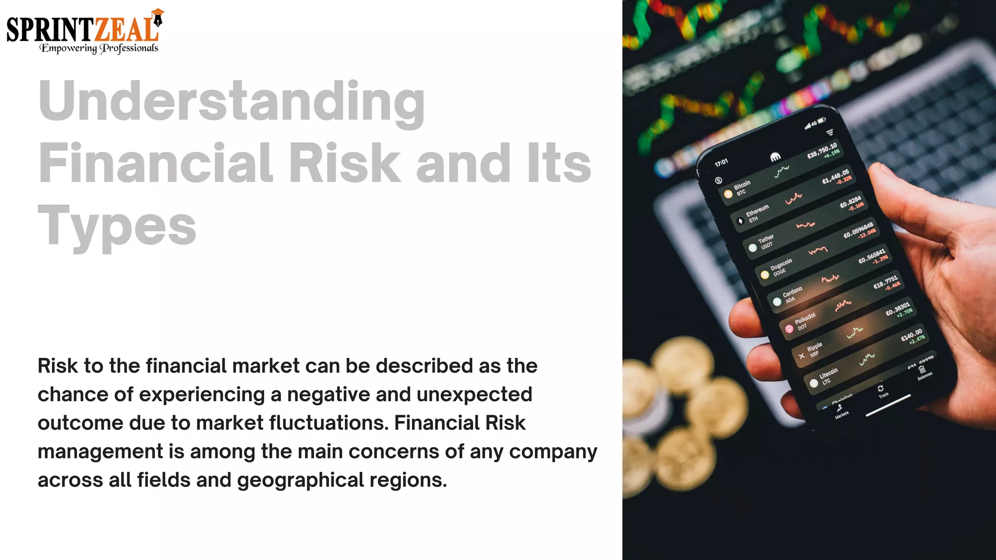 FINANCIAL RISK AND ITS TYPES | PDF