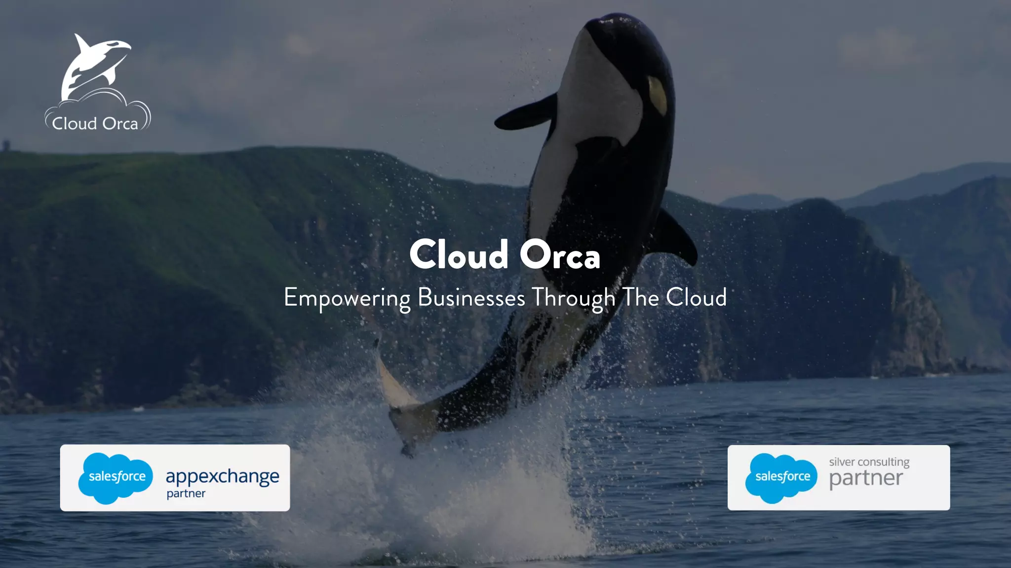 Financial services industry proposition (cloud orca q2 2019) | PDF