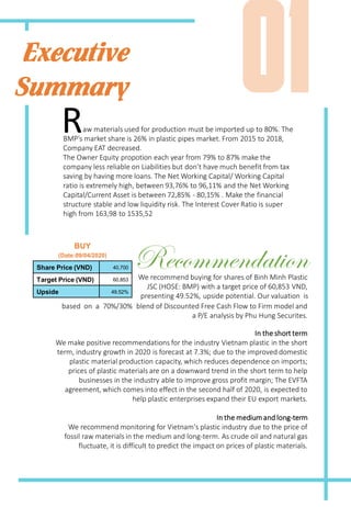 Financial Statement Analysis Bình Minh Plastic (BMP) | PDF