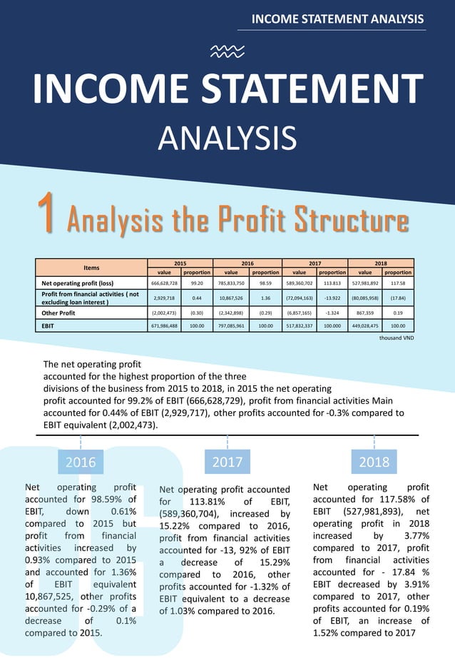 Financial Statement Analysis Bình Minh Plastic (BMP) | PDF | Business ...