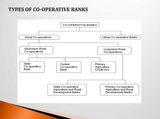 Financial statemet anlysis of co operative bank | PDF