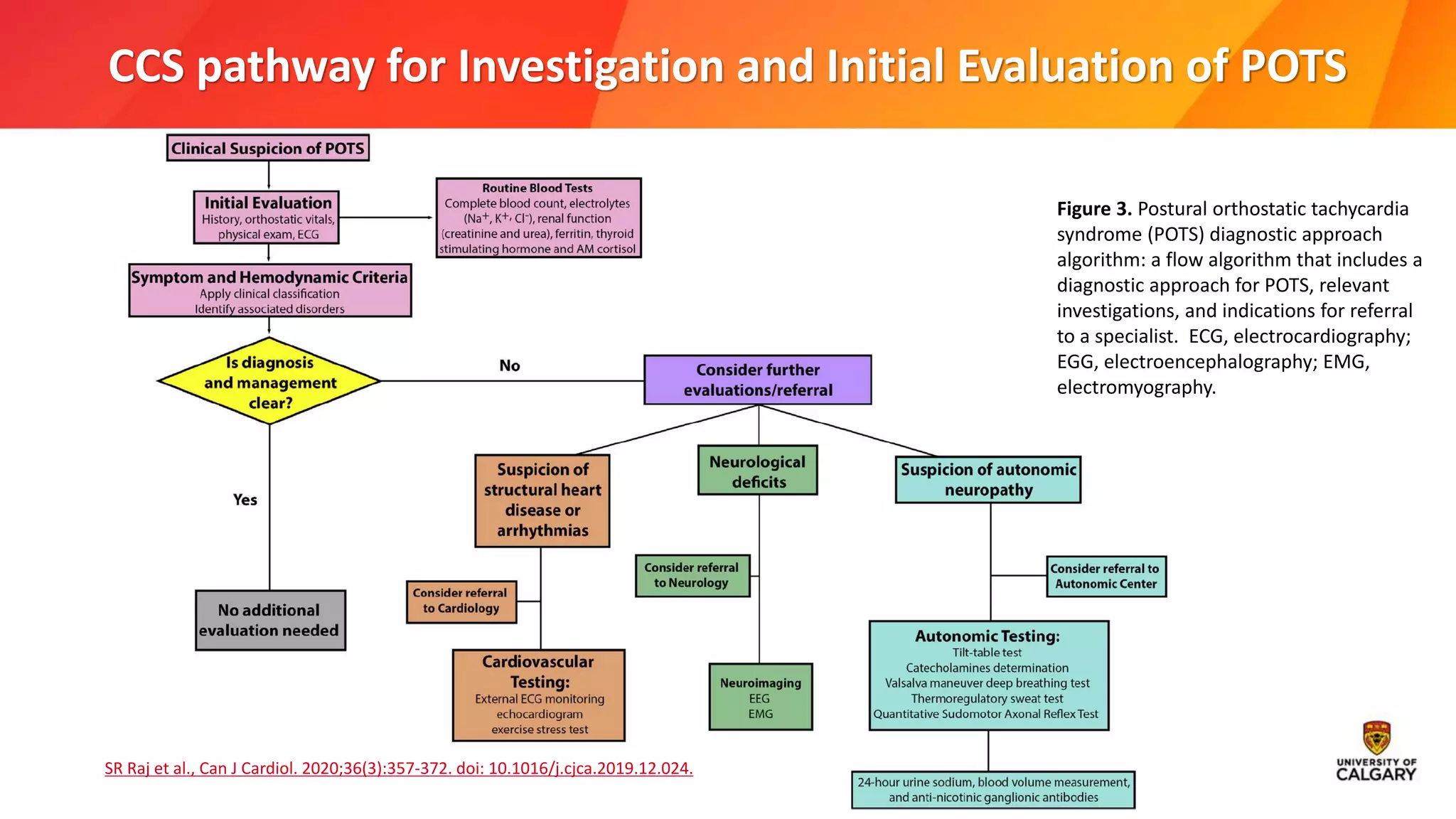 Postural Orthostatic Tachycardia Syndrome – Overview and Focus on Non ...