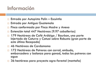 Finca de Cafe y Cardamomo - Escuintla | PDF