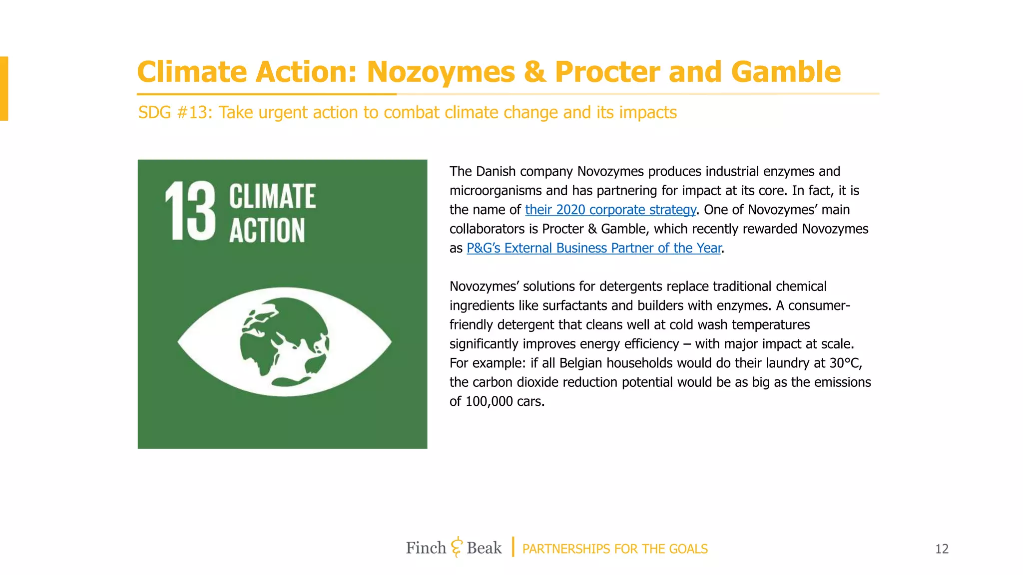 Partnerships for the Goals - 11 Best Practice Examples from the ...