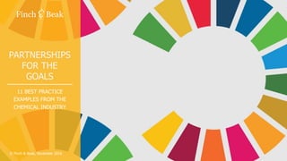 Partnerships for the Goals - 11 Best Practice Examples from the ...