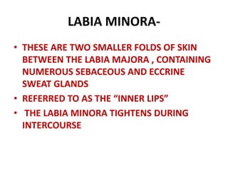 Finc nursing choachinf agra -FEMALE reproductive system | PPTX ...