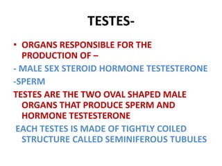 Finc nursing choaching agra male reproductive | PPT