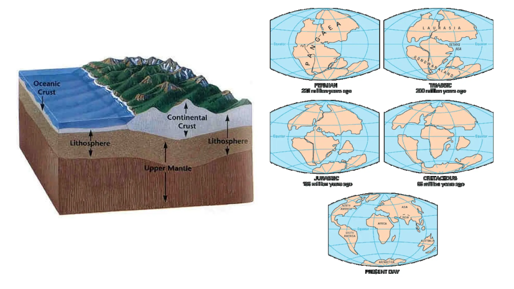 Find-the-Center triangulatonn method anatomy of an earth quake and more ...