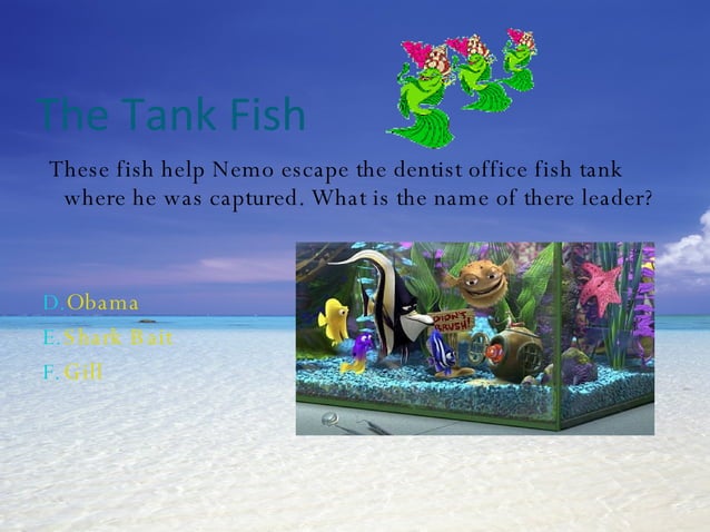 Finding Nemo!!! | PPT | Fish and Aquariums | Pets