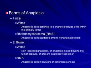 Finding cancerous anaplastic cells with image analysis | PDF