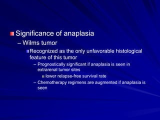 Finding cancerous anaplastic cells with image analysis | PDF