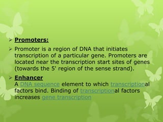 Finding gene in DNA | PPTX