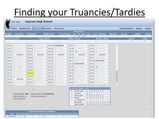 Statistics Survey Powerpoint | PPTX