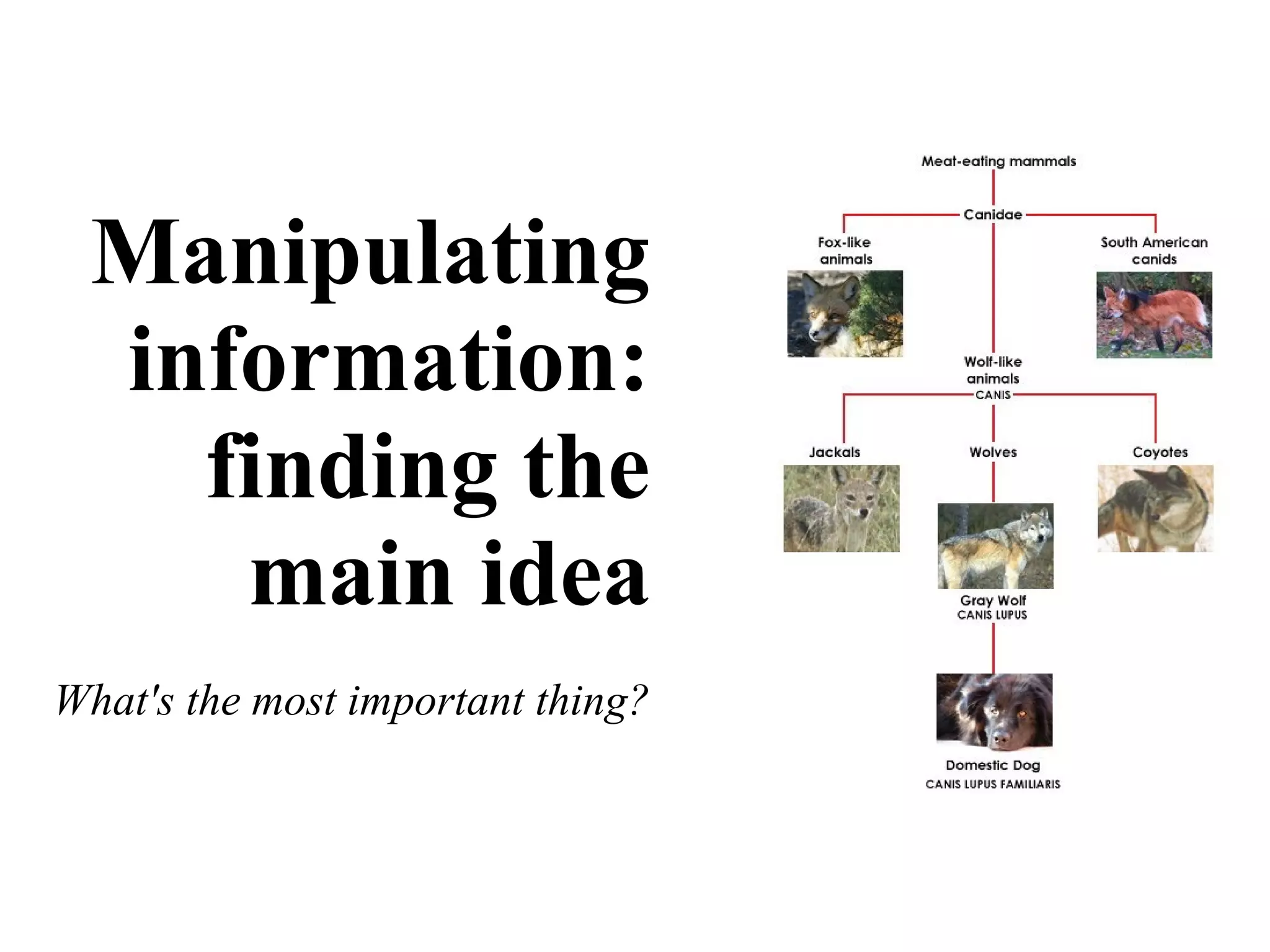 Finding the Main Idea | PPT