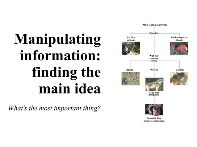 Finding the Main Idea | PPT