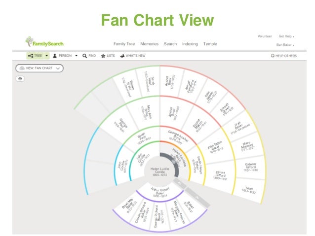 Find my family tree - billoon