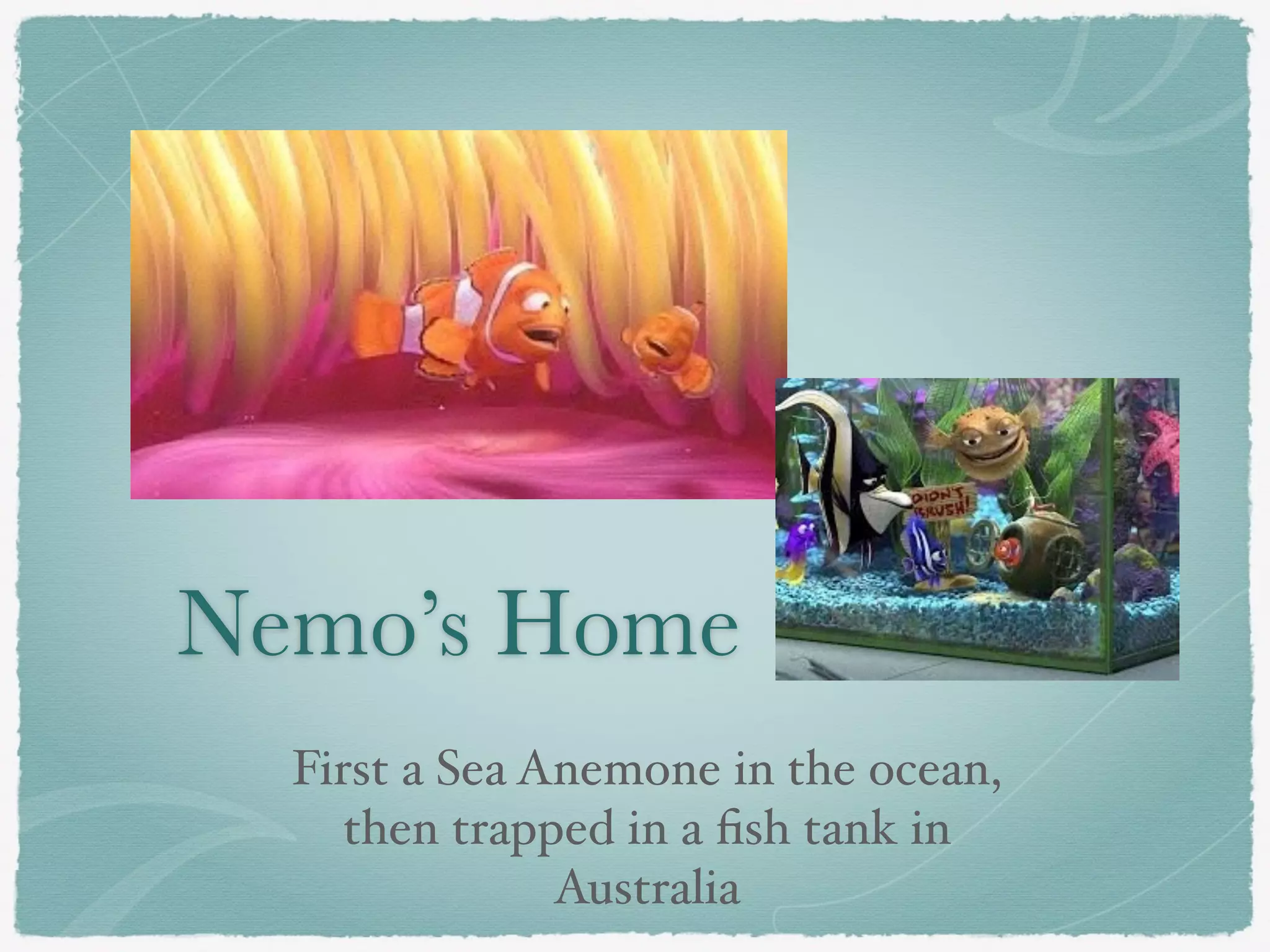 Finding nemo | PDF | Fish and Aquariums | Pets