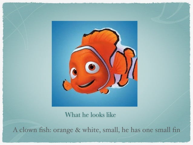 Finding nemo | PDF | Fish and Aquariums | Pets