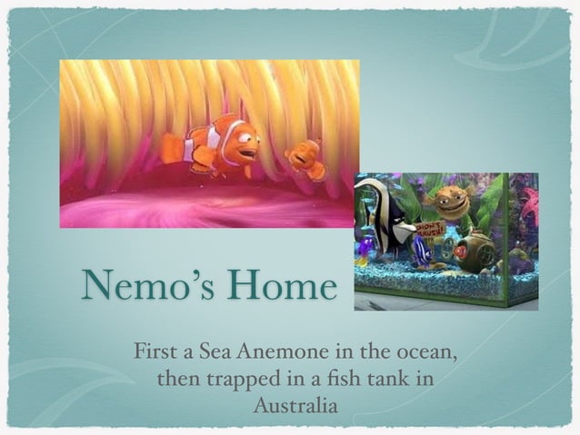 Finding nemo | PDF | Fish and Aquariums | Pets