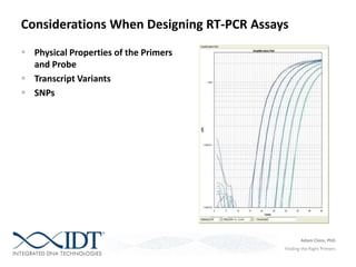 Primers Pcr