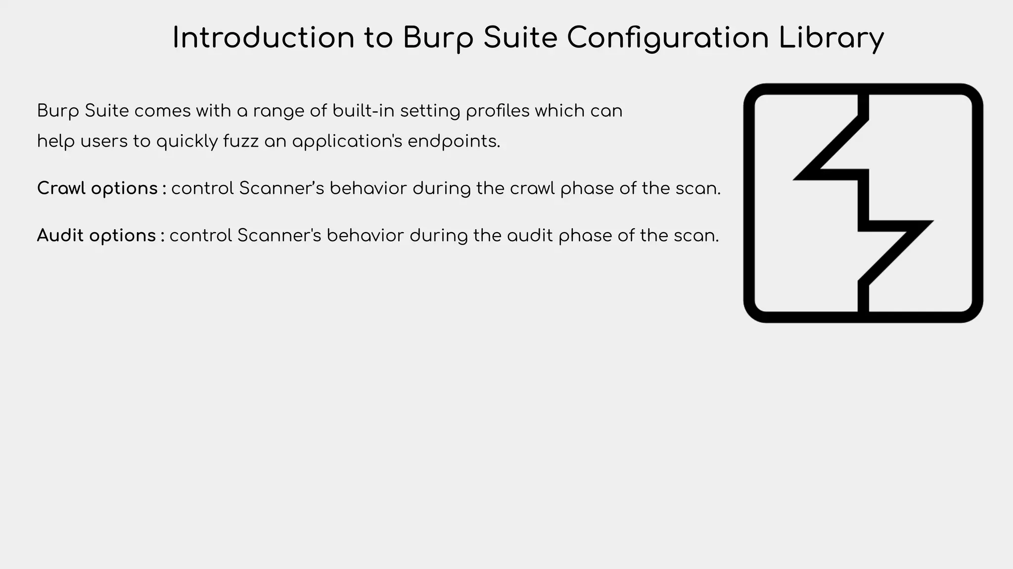 Finding vulnerabilities with Burp Suite Custom Scan Profiles.pdf Finding vulnerabilities with Burp Suite Custom Scan Profiles.pdf