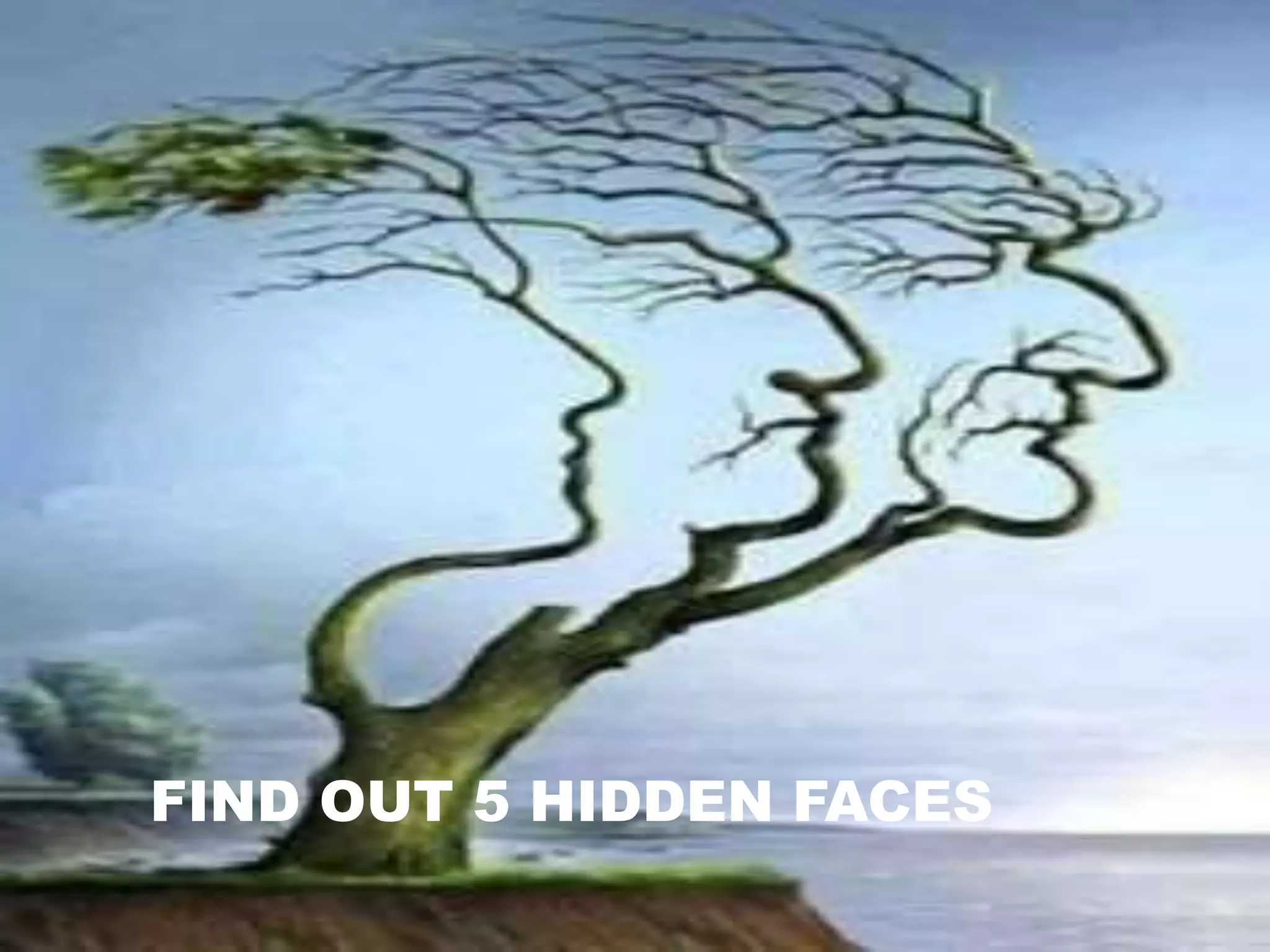 Find out hidden faces (illusion) | PPTX