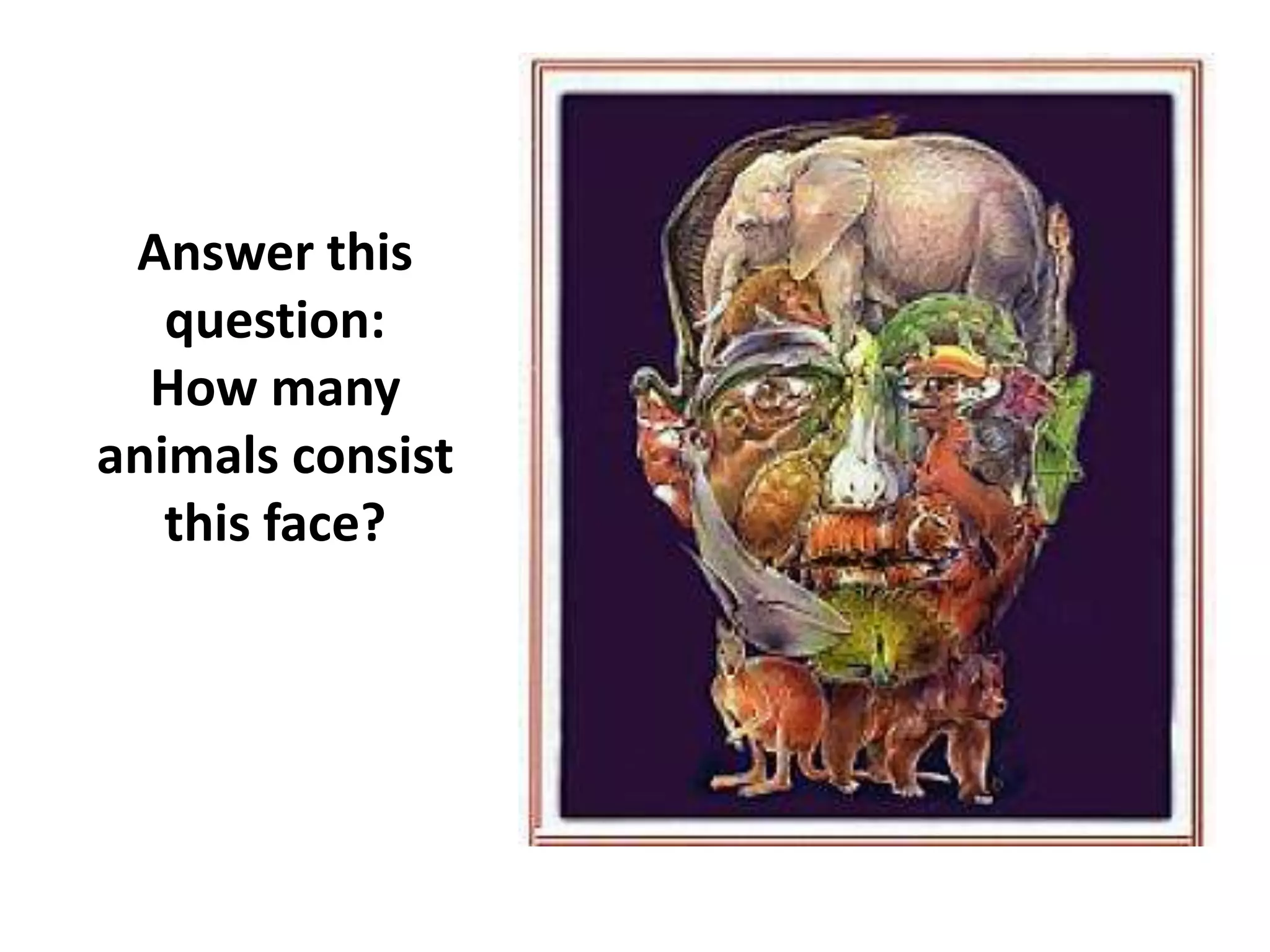 Hidden Images | PPT