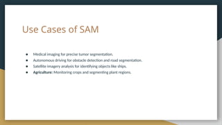 Fine-Tuning Segment Anything Model (SAM).pptx | Photo Editing Software ...