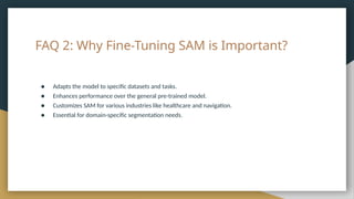 Fine-Tuning Segment Anything Model (SAM).pptx