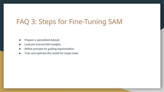 Fine-Tuning Segment Anything Model (SAM).pptx | Photo Editing Software ...