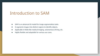 Fine-Tuning Segment Anything Model (SAM).pptx | Photo Editing Software ...