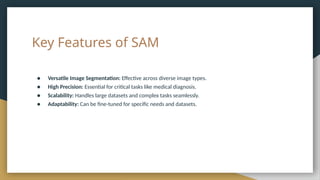 Fine-Tuning Segment Anything Model (SAM).pptx | Photo Editing Software ...
