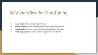 Fine-Tuning Segment Anything Model (SAM).pptx | Photo Editing Software | Computer Software and ...