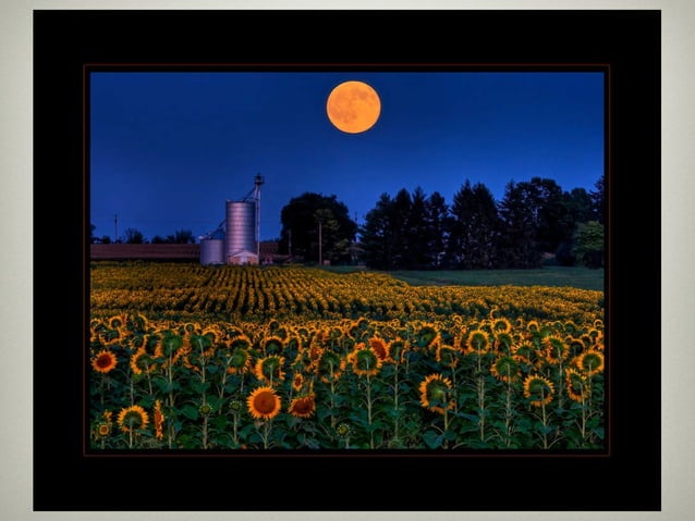Fine Art And Editorial Photography By Jim Crotty | PPT