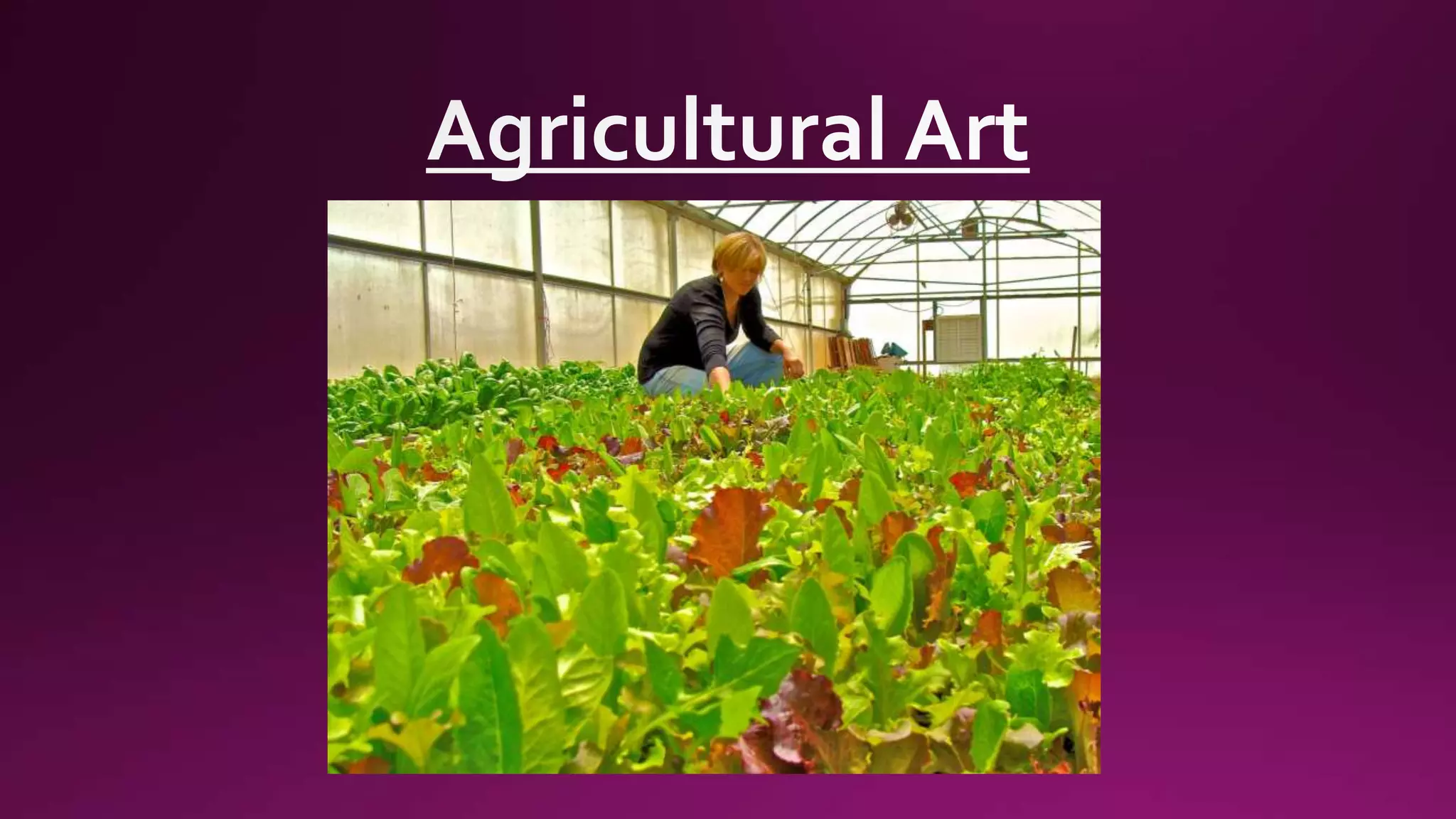 Fine art and utilitarian art | PPT