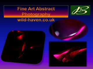 Fine Art Nature Abstract Photography | PPTX
