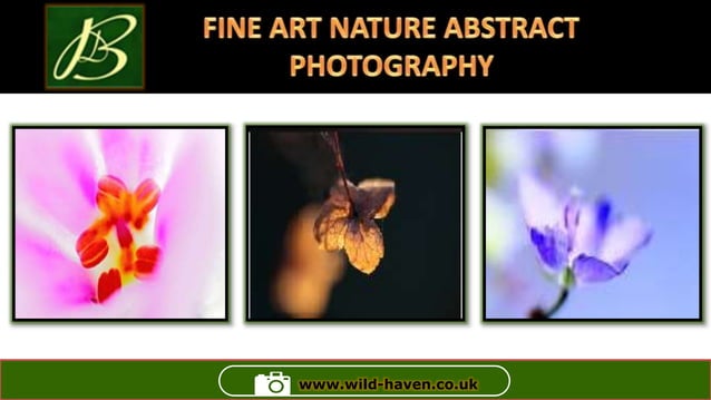 Fine art nature abstract photography | PPT