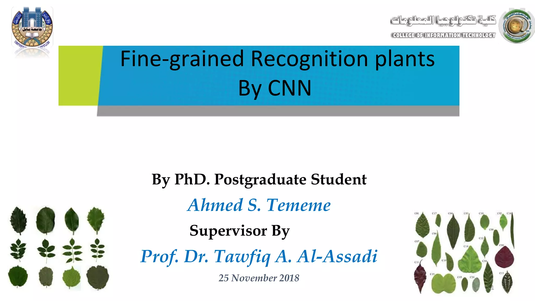 Fine grained recognition plants from image | PPT