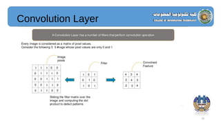 Fine grained recognition plants from image | PPT