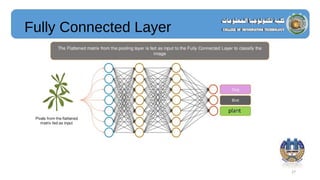 Fine grained recognition plants from image | PPT