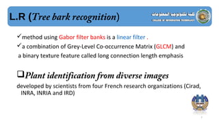 Fine grained recognition plants from image | PPT