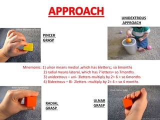 Fine motor | PPT