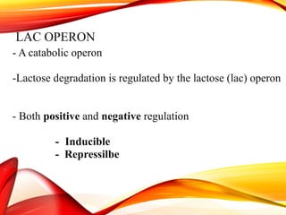 Fine regulation in bacteria eg lac operon | PPT