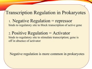 Fine regulation in bacteria eg lac operon | PPT