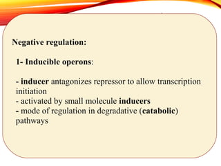 Fine regulation in bacteria eg lac operon | PPT
